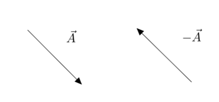 Chapter 2: Vectors – Introductory Physics Resources